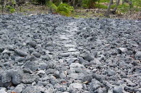 Chemin des pêcheurs de la pointe Kai-kaveu à Tureia - Tahiti Heritage