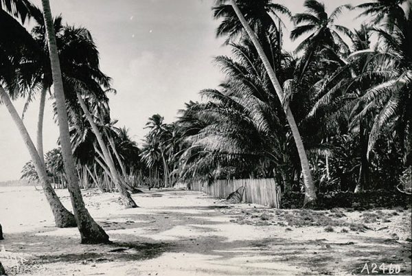 Village de Rotoava - Fakarava - Tahiti Heritage