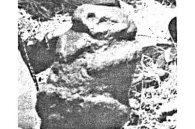 Mâchoire de Marau, la pierre puna de Motutunga - Tahiti Heritage