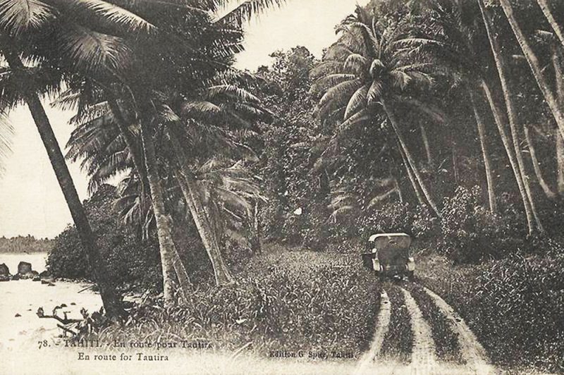 Allée de Uru du village de Tautira - Tahiti Heritage