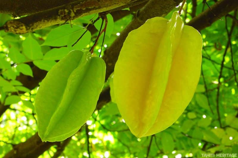 Carambole de Tahiti, le fruit en étoile - Tahiti Heritage