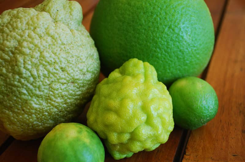 Citron vert de Tahiti, l'inestimable petite boule verte